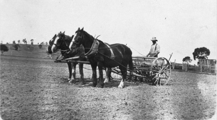 Bumberry | History Parkes